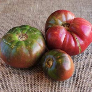 Gaea's Blessing Seeds - Tomato Seeds - Cherokee Purple Slicing Tomato - Non-GMO Seeds with Easy to Follow Planting Instructions - Open-Pollinated 96% Germination Rate