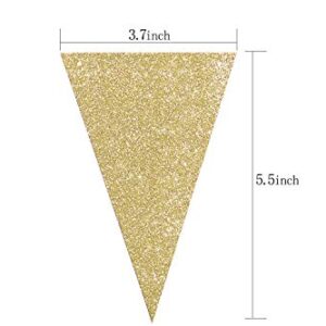 Glitter Gold Mint Coral Party Banner Decoration Anniversary Graduation Supplies Paper Garland Pennant for Baby Shower Birthday Party Nursery Anniversary Decorations 10 Feet 15 Pcs (Gold Coral Mint)