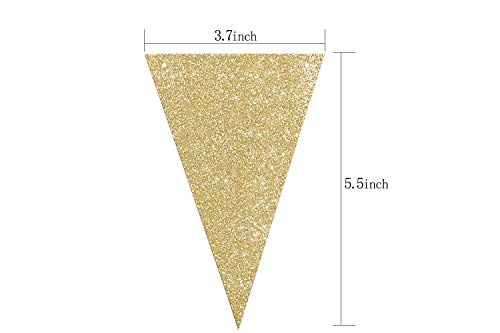 Glitter Gold Mint Coral Party Banner Decoration Anniversary Graduation Supplies Paper Garland Pennant for Baby Shower Birthday Party Nursery Anniversary Decorations 10 Feet 15 Pcs (Gold Coral Mint)