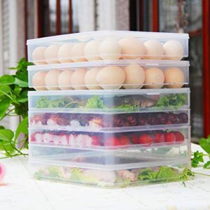 STARSLIFE Egg Holder for Refrigerator with Lid, Covered Eggs Tray Carrier Food Storage Containers, Plastic Stackable Organizer Case Protect and Keep Fresh for Fridge , Total Stores 48 eggs (Pack of 2)