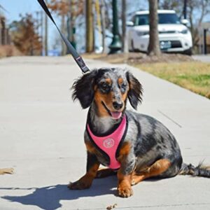 Gooby Soft Mesh Dog Harness - Flamingo Pink, Medium - All Weather Mesh Head-in Small Dog Harness with D Ring Leash - Perfect on The Go Breathable Dog Harness for Medium Dogs No Pull and Small Dogs