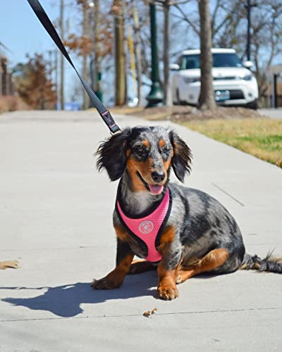 Gooby Soft Mesh Dog Harness - Flamingo Pink, Medium - All Weather Mesh Head-in Small Dog Harness with D Ring Leash - Perfect on The Go Breathable Dog Harness for Medium Dogs No Pull and Small Dogs