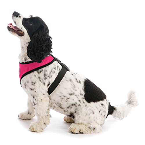 Gooby Soft Mesh Dog Harness - Flamingo Pink, Medium - All Weather Mesh Head-in Small Dog Harness with D Ring Leash - Perfect on The Go Breathable Dog Harness for Medium Dogs No Pull and Small Dogs