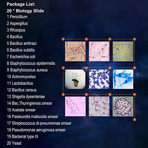 20 Slides Of Biology And Pathology Prepared Microbiological Bacterial Specimens Microscope Slide Set with Plastic Box