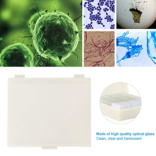 20 Slides Of Biology And Pathology Prepared Microbiological Bacterial Specimens Microscope Slide Set with Plastic Box