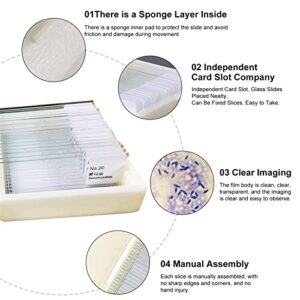 20 Slides Of Biology And Pathology Prepared Microbiological Bacterial Specimens Microscope Slide Set with Plastic Box