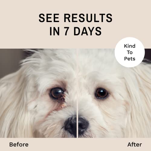 Eye Envy Tear Stain Wipes for Dogs | Textured to Gently Clean | Presoaked in 100% Natural Formula | Recommended by AKC Breeders, Vets, Groomers | Treats The Cause of Staining | 60 Count