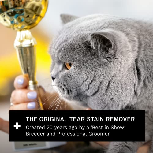 Eye Envy Tear Stain Wipes for Cats | Textured to Gently Clean, Treats The Cause of Staining | 100% Natural Formula | Recommended by Persian & Exotic Breeders, Vets, Groomers | 60 Ct