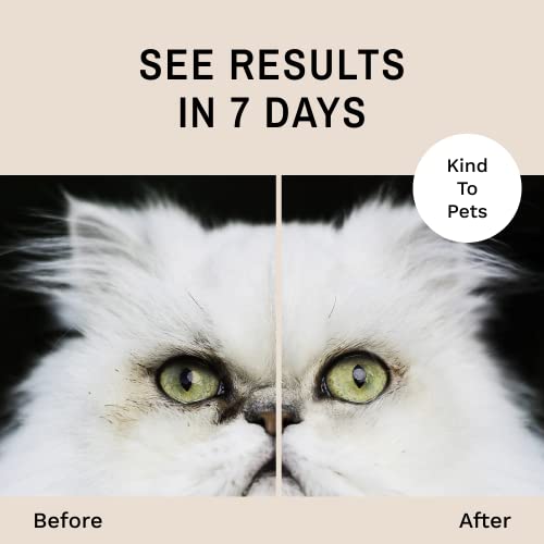 Eye Envy Tear Stain Wipes for Cats | Textured to Gently Clean, Treats The Cause of Staining | 100% Natural Formula | Recommended by Persian & Exotic Breeders, Vets, Groomers | 60 Ct