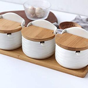 Lawei 3 pack Ceramic Sugar Bowls Set - 9 oz Porcelain Condiment Jar Spice Container with Spoons and Lids for Home and Kitchen