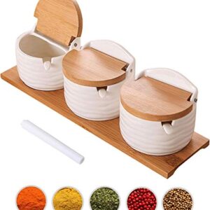 Lawei 3 pack Ceramic Sugar Bowls Set - 9 oz Porcelain Condiment Jar Spice Container with Spoons and Lids for Home and Kitchen