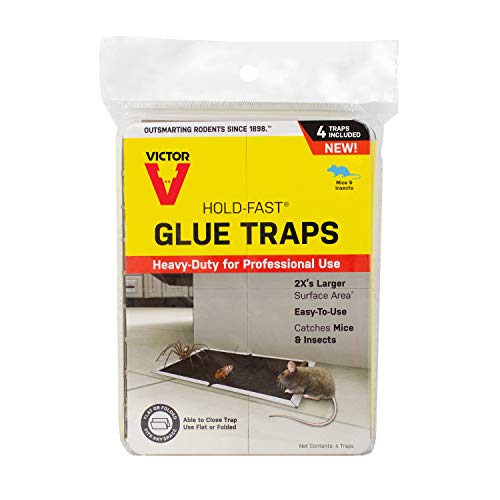 Victor M668 Hold-Fast Mouse Glue Traps,Black