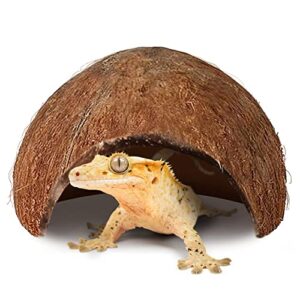 sungrow coconut hut for crested gecko, 5x3 inches reptile climbing hide, leopard gecko tank cage habitat accessories, smooth-edged coconut shell, for exercise, crawling, perching and basking spot