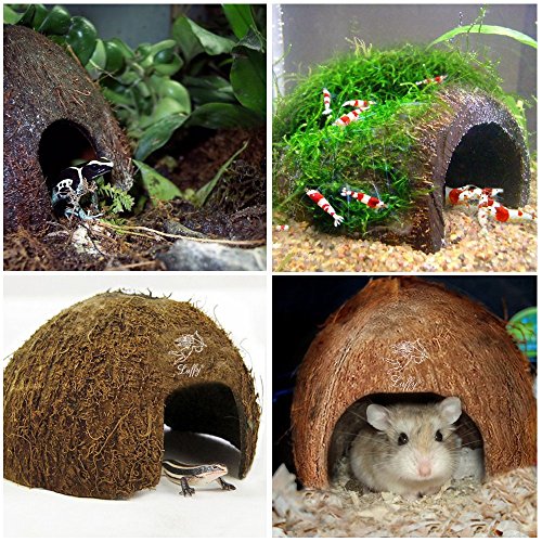 SunGrow Coconut Hut for Crested Gecko, 5x3 Inches Reptile Climbing Hide, Leopard Gecko Tank Cage Habitat Accessories, Smooth-Edged Coconut Shell, for Exercise, Crawling, Perching and Basking Spot