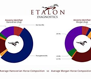 Etalon Diagnostics Horse DNA Test, Genetic Testing Plus Ancestry (65+ Traits) - Identify Equine Breed Composition & DNA - Test for Coat Color, Diseases, Abilities - MiniPanel Plus + Ancestry