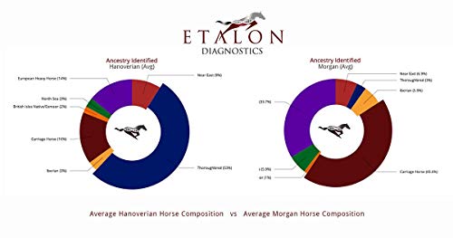 Etalon Diagnostics Horse DNA Test, Genetic Testing Plus Ancestry (65+ Traits) - Identify Equine Breed Composition & DNA - Test for Coat Color, Diseases, Abilities - MiniPanel Plus + Ancestry