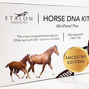 Etalon Diagnostics Horse DNA Test, Genetic Testing Plus Ancestry (65+ Traits) - Identify Equine Breed Composition & DNA - Test for Coat Color, Diseases, Abilities - MiniPanel Plus + Ancestry