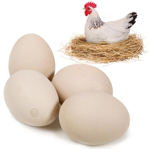 SunGrow Fake Eggs for Laying Hens in Chicken Coop, Train to Lay Inside Nest Box, Beige, 4 Pcs per Pack