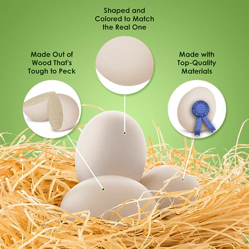 SunGrow Fake Eggs for Laying Hens in Chicken Coop, Train to Lay Inside Nest Box, Beige, 4 Pcs per Pack