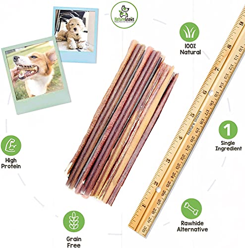 Nature Gnaws Super Skinny Bully Sticks for Small Dogs - Premium Natural Beef Dental Bones - Tasty Thin Dog Chew Treats for Toy Breeds & Puppies - Rawhide Free 40 Count (Pack of 1)