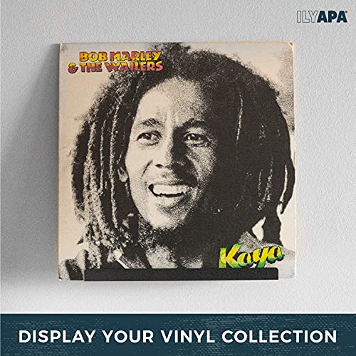 Ilyapa Metal Vinyl Record Shelf Wall Mount, 6 Pack - Black Steel Record Album Holder Display Your LP