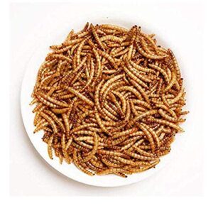 Amzey Dried Mealworms -2 LBS- 100% Natural Non GMO Mealworms -Food for Chicken- High Protein Mealworms for Bird, Duck Food, Bearded Dragon Diet, Gecko Food, Turtle Food, Lizard Food - Bulk Mealworms