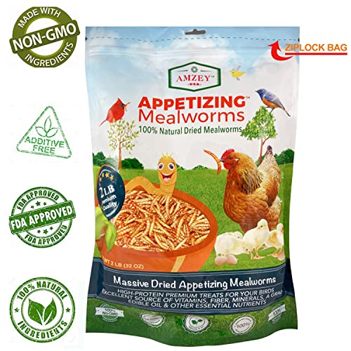 Amzey Dried Mealworms -2 LBS- 100% Natural Non GMO Mealworms -Food for Chicken- High Protein Mealworms for Bird, Duck Food, Bearded Dragon Diet, Gecko Food, Turtle Food, Lizard Food - Bulk Mealworms