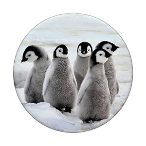 Penguin Cute Animal PopSockets Standard PopGrip