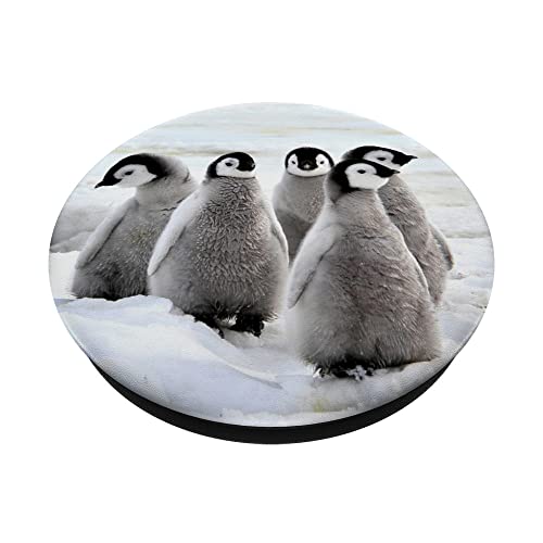 Penguin Cute Animal PopSockets Standard PopGrip