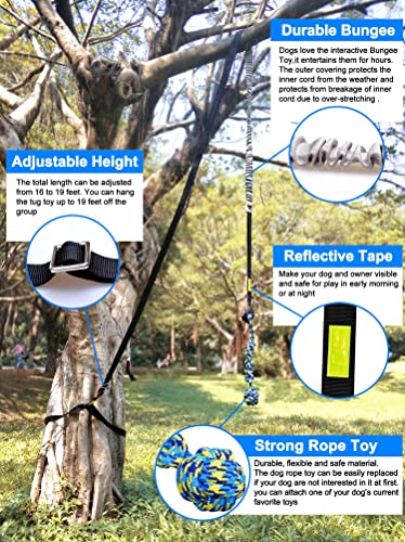 LOOBANI Outdoor Bungee Tug Toy, Dog Toy Hanging from Tree for Small to Large Dogs, Interactive Exercise Play Rope Cord & Tether Tug, Durable Spring Pole Rope for Tug of War, with Chew Rope Toy (Black)