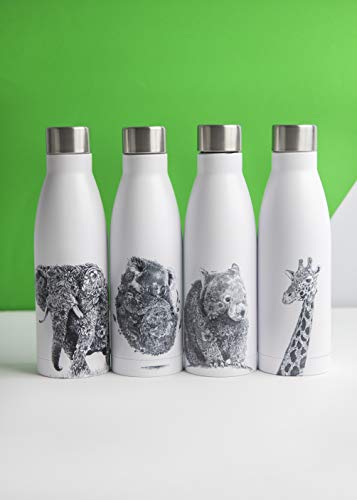 Maxwell & Williams Marini Ferlazzo Insulated Water Bottle with Koala and Friends Design, Double Wall Stainless Steel, White, 500 ml