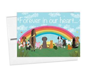 tiny expressions rainbow bridge pet sympathy memorial card with envelope 5"x7" (rainbow bridge card)