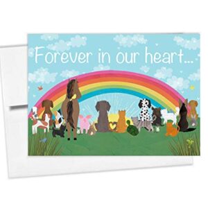 Tiny Expressions Rainbow Bridge Pet Sympathy Memorial Card with Envelope 5"x7" (Rainbow Bridge Card)