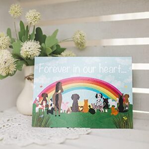 Tiny Expressions Rainbow Bridge Pet Sympathy Memorial Card with Envelope 5"x7" (Rainbow Bridge Card)