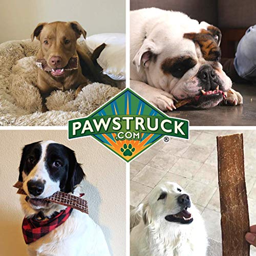 Pawstruck Dog Jerky Treats Pet Food (4"-6" Strips, 15 Pack) Joint Health 100% Beef Chews, Bulk, Gourmet Gullet Straps, Naturally Rich in Glucosamine & Chondroitin, 0.35 Pounds