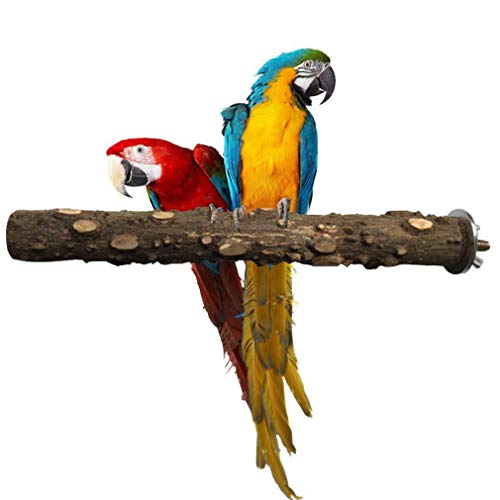 Kshcf Portable Parrot Stand Pepper Wood Bird Perch Parrot Toy Stand Birds Chew Stand Gift Holder Cockatiel