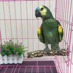 Kshcf Portable Parrot Stand Pepper Wood Bird Perch Parrot Toy Stand Birds Chew Stand Gift Holder Cockatiel