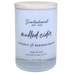 mulled cider scented candle