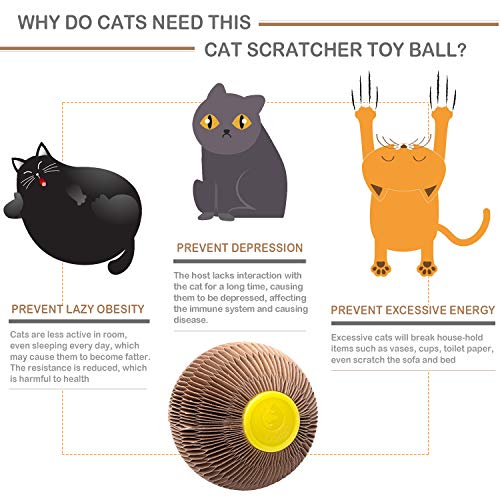 AREIIA Catnip Ball Toy for Cats Catnip Refillable Scratcher Ball Kitty's Faithful Playmate Reduce Obesity and Loneliness CSB01BR