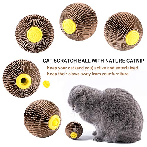 AREIIA Catnip Ball Toy for Cats Catnip Refillable Scratcher Ball Kitty's Faithful Playmate Reduce Obesity and Loneliness CSB01BR