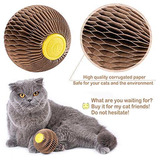 AREIIA Catnip Ball Toy for Cats Catnip Refillable Scratcher Ball Kitty's Faithful Playmate Reduce Obesity and Loneliness CSB01BR