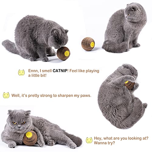 AREIIA Catnip Ball Toy for Cats Catnip Refillable Scratcher Ball Kitty's Faithful Playmate Reduce Obesity and Loneliness CSB01BR