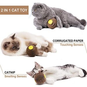 AREIIA Catnip Ball Toy for Cats Catnip Refillable Scratcher Ball Kitty's Faithful Playmate Reduce Obesity and Loneliness CSB01BR