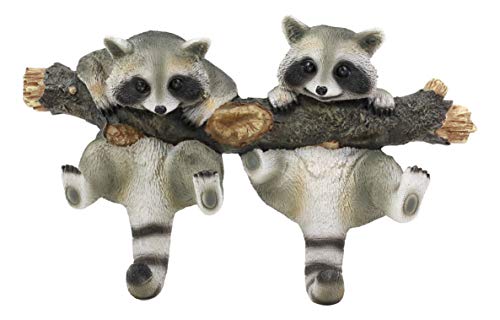 Ebros Whimsical Forest Rustic 2 Playful Raccoons Dangling On Tree Branch 6 Pegs Wall Hooks 9.25" Wide Hanger Raccoon Rodent Themed Wall Mount Coat Hat Keys Hook Decor Hanging Sculpture Plaque