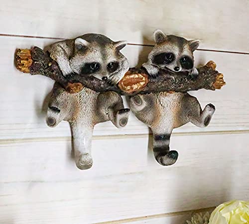 Ebros Whimsical Forest Rustic 2 Playful Raccoons Dangling On Tree Branch 6 Pegs Wall Hooks 9.25" Wide Hanger Raccoon Rodent Themed Wall Mount Coat Hat Keys Hook Decor Hanging Sculpture Plaque