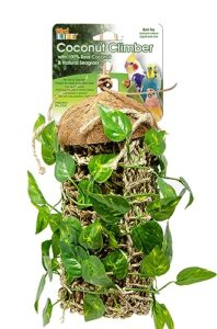 lizard lounger penn-plax reptology for bearded dragons, iguanas, and other reptiles - adjustable hanging (coconut climber)