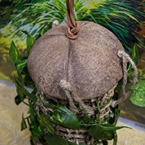 Lizard Lounger Penn-Plax Reptology for Bearded Dragons, Iguanas, and Other Reptiles - Adjustable Hanging (Coconut Climber)