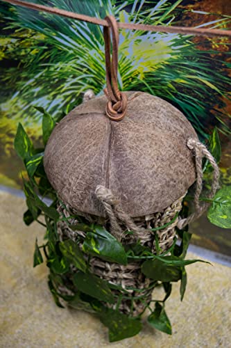 Lizard Lounger Penn-Plax Reptology for Bearded Dragons, Iguanas, and Other Reptiles - Adjustable Hanging (Coconut Climber)