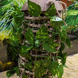 Lizard Lounger Penn-Plax Reptology for Bearded Dragons, Iguanas, and Other Reptiles - Adjustable Hanging (Coconut Climber)