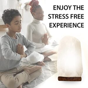 Crystal Hideaway Seasonal Affective Disorder White Salt Lamp | SAD Lamp